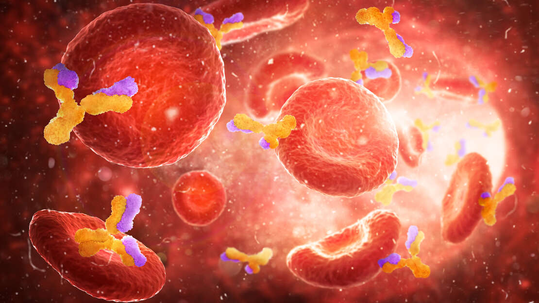 Allergie: Ursachen und Auslöser | Ratgeber-Allergie.com